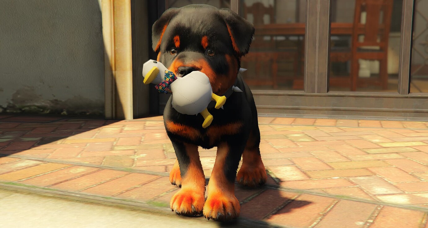 Rottweiler Puppy (Puppy Chop) Ped - FiveM Releases - Cfx.re Community
