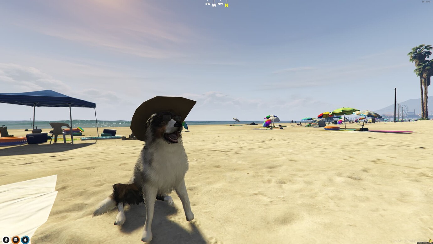 [PAID][QB/ESX/OX] Waypoint Animals - FiveM Releases - Cfx.re Community