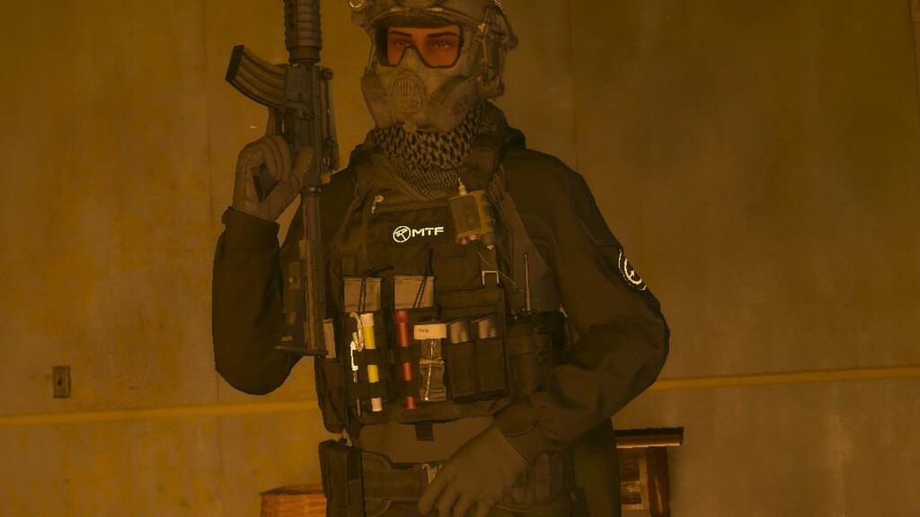 MTF & CI Vest - [Replace / Addon] - FiveM Releases - Cfx.re Community