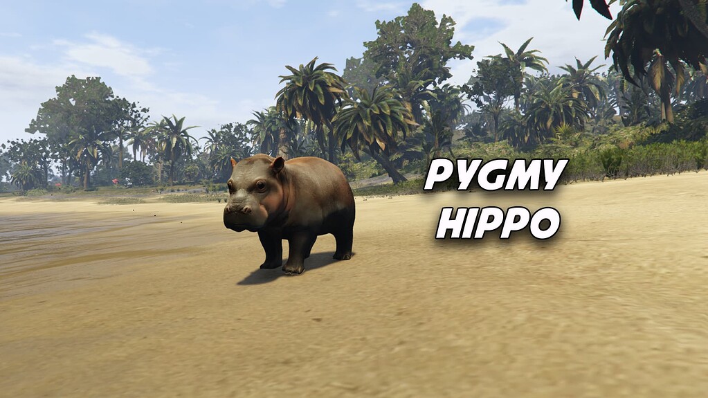 Pygmy Hippo - Addon Animal Ped - FiveM Releases - Cfx.re Community