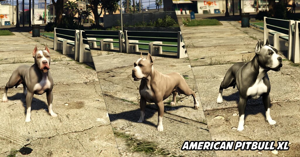American Pitbull XL - Addon Dog Ped - FiveM Releases - Cfx.re Community
