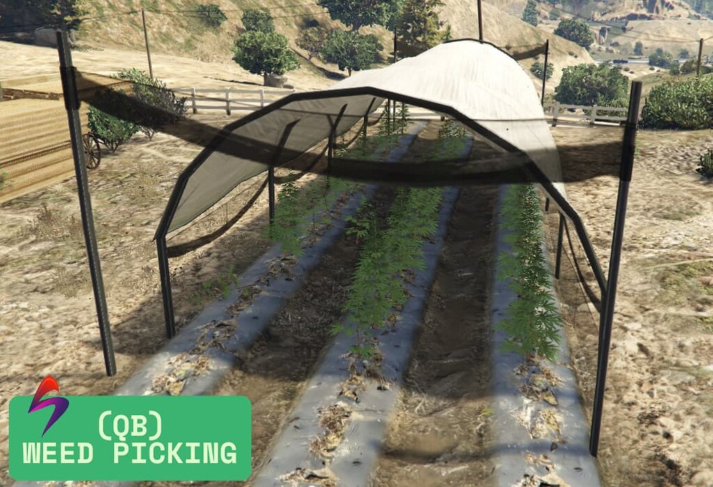 [QBcore] Weed Picking - FiveM Releases - Cfx.re Community