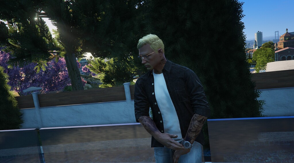 Richman - FiveM Snapmatic - Cfx.re Community