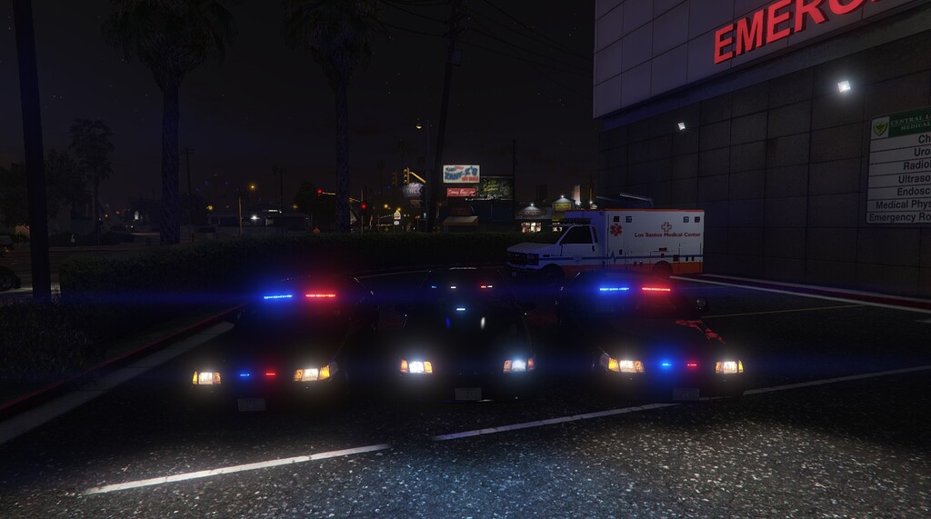 Chp - FiveM Snapmatic - Cfx.re Community