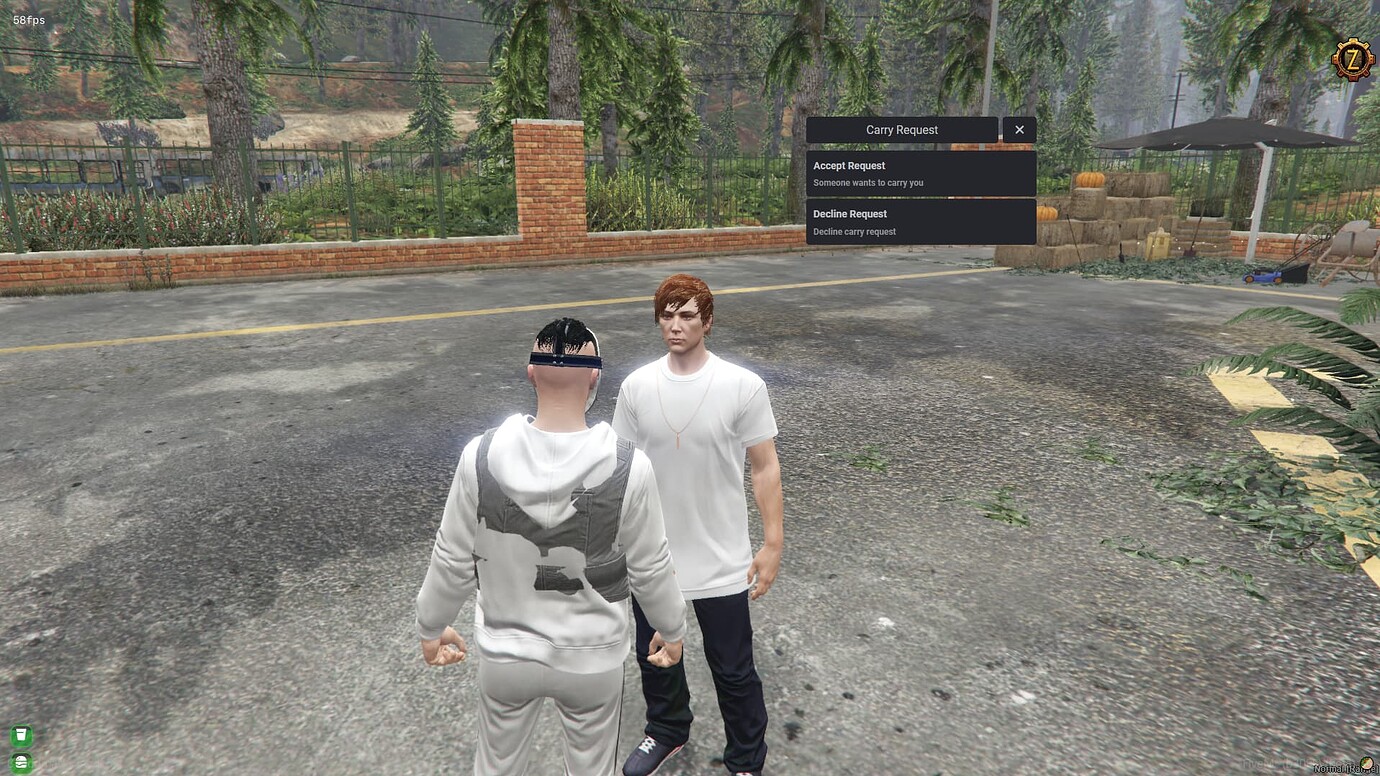 [FREE] GH Carry - FiveM Releases - Cfx.re Community