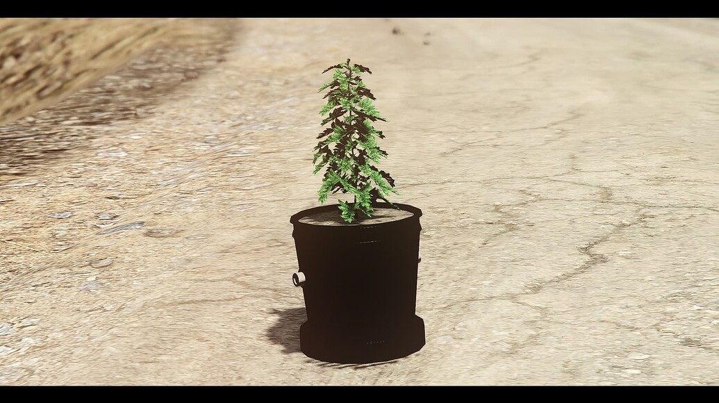 Growing Drug Plants - Prop Pack - FiveM Releases - Cfx.re Community