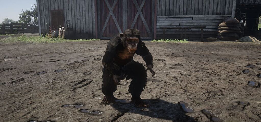 [FREE] Monkey Ped - RedM Releases - Cfx.re Community