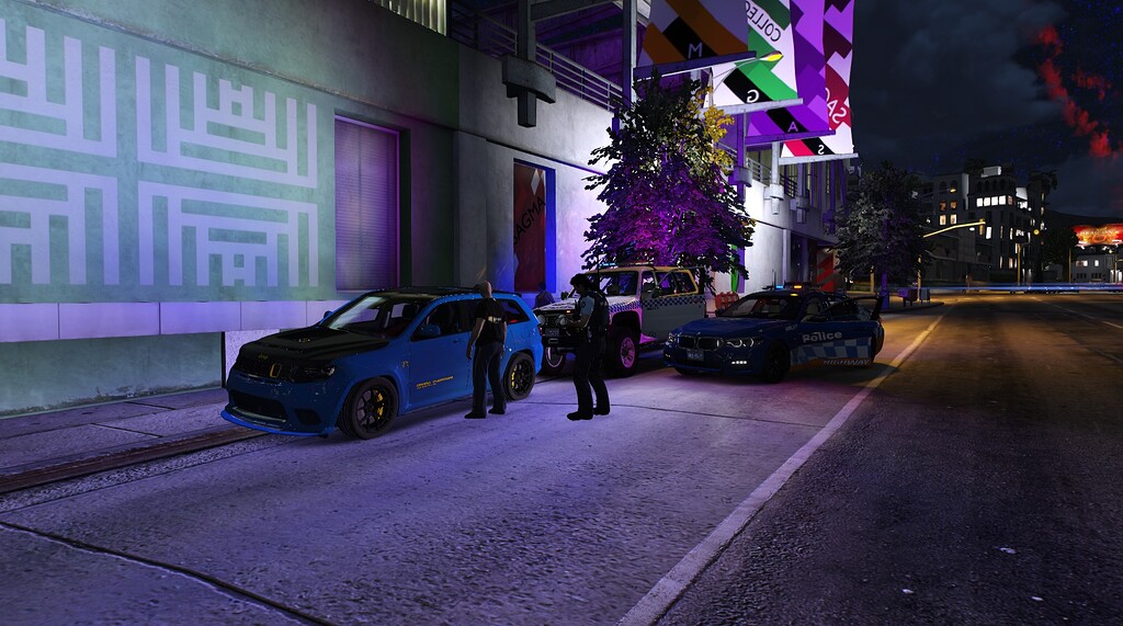 Police code 5 - FiveM Snapmatic - Cfx.re Community