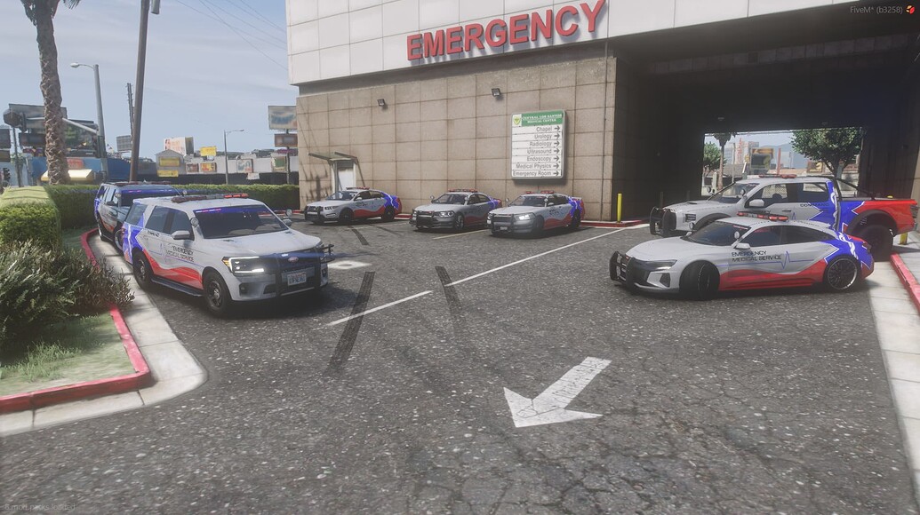 [PAID] EMS Car Pack | Callsign System | Lore Friendly - FiveM Releases ...