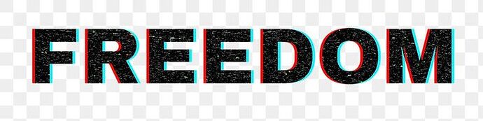 Freedom Roleplay 🌍| Hiring PD & EMS | Hiring Staff | Player Owned ...