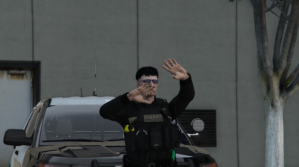 Hands up! - FiveM Snapmatic - Cfx.re Community