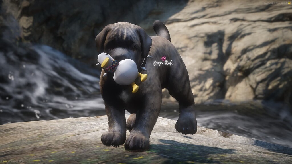 Cane Corso Puppy Ped - FiveM Releases - Cfx.re Community
