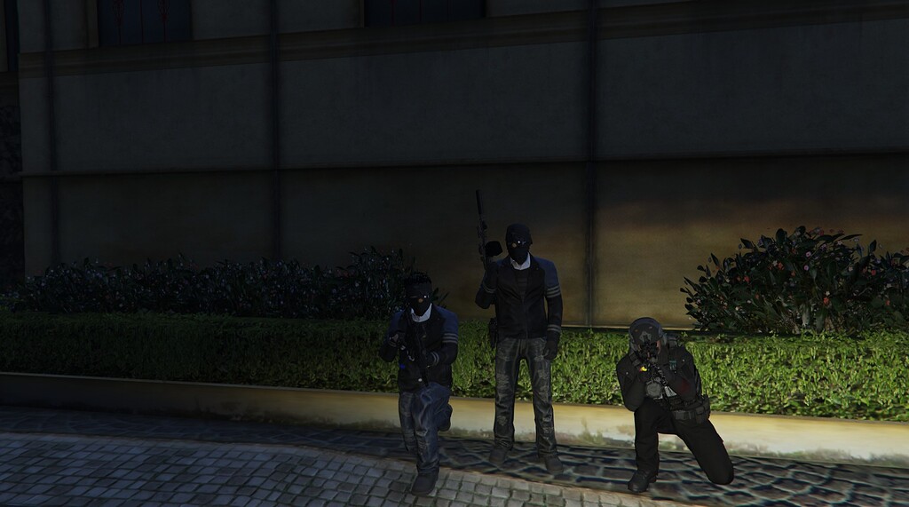 Raid! - FiveM Snapmatic - Cfx.re Community