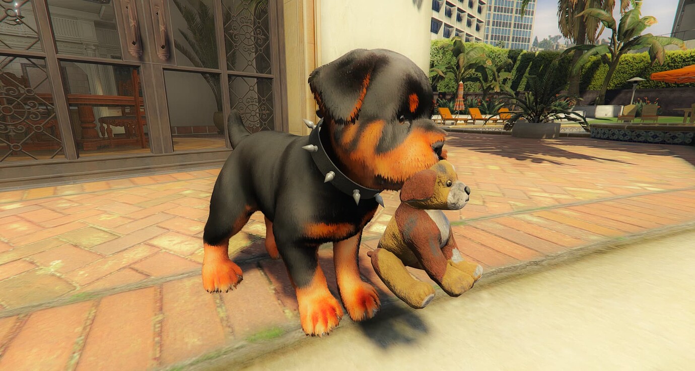 Rottweiler Puppy (Puppy Chop) Ped - FiveM Releases - Cfx.re Community