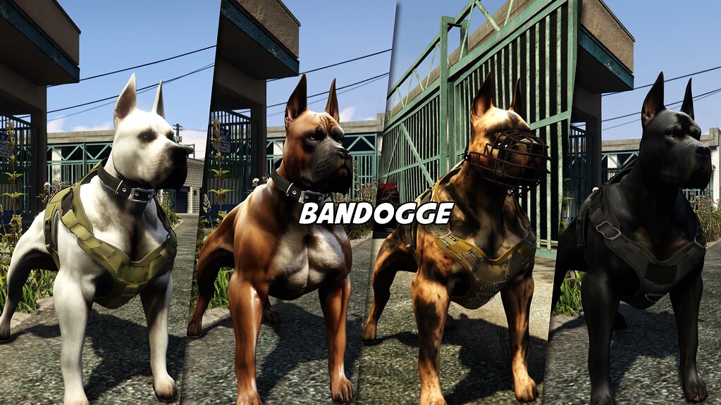Bandogge (XL and Regular) - Addon Dog Ped - FiveM Releases - Cfx.re ...