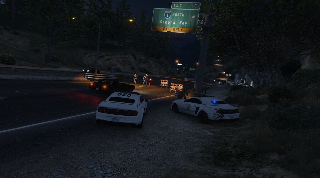Autopista de Los Santos - FiveM Snapmatic - Cfx.re Community