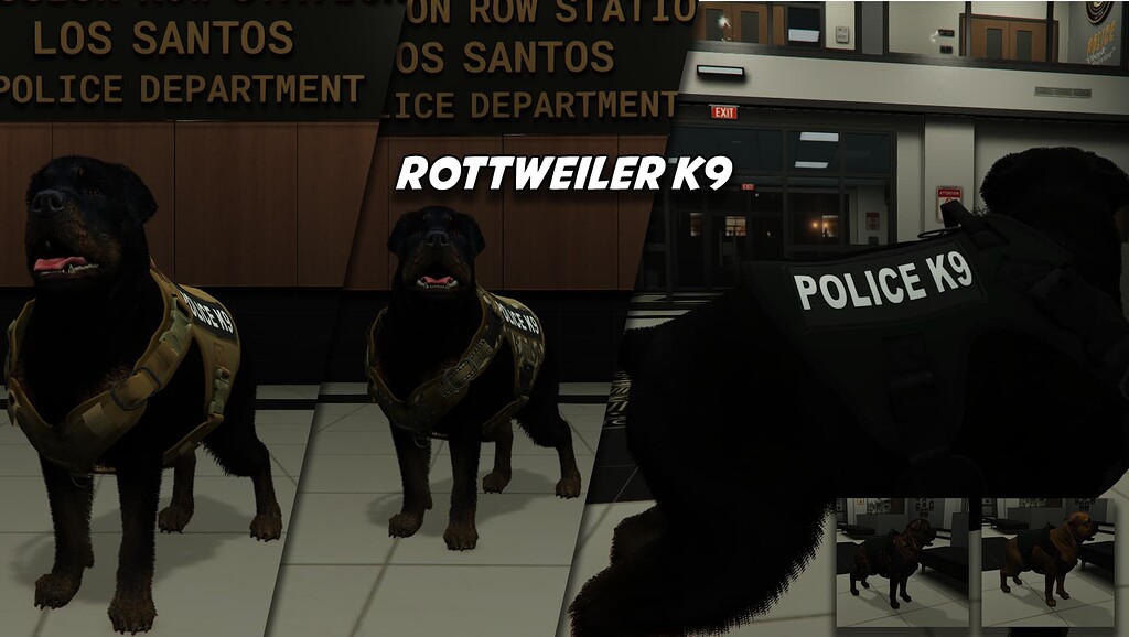 Rottweiler K9 (Chop K9) - Addon Dog Ped - FiveM Releases - Cfx.re Community