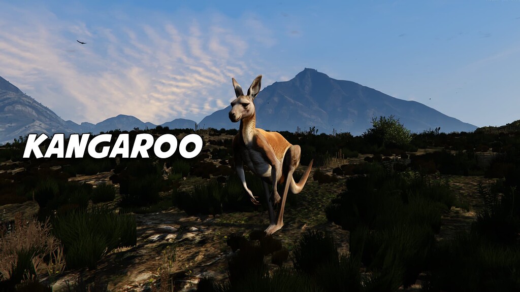 Kangaroo - Add-on Animal Ped - FiveM Releases - Cfx.re Community