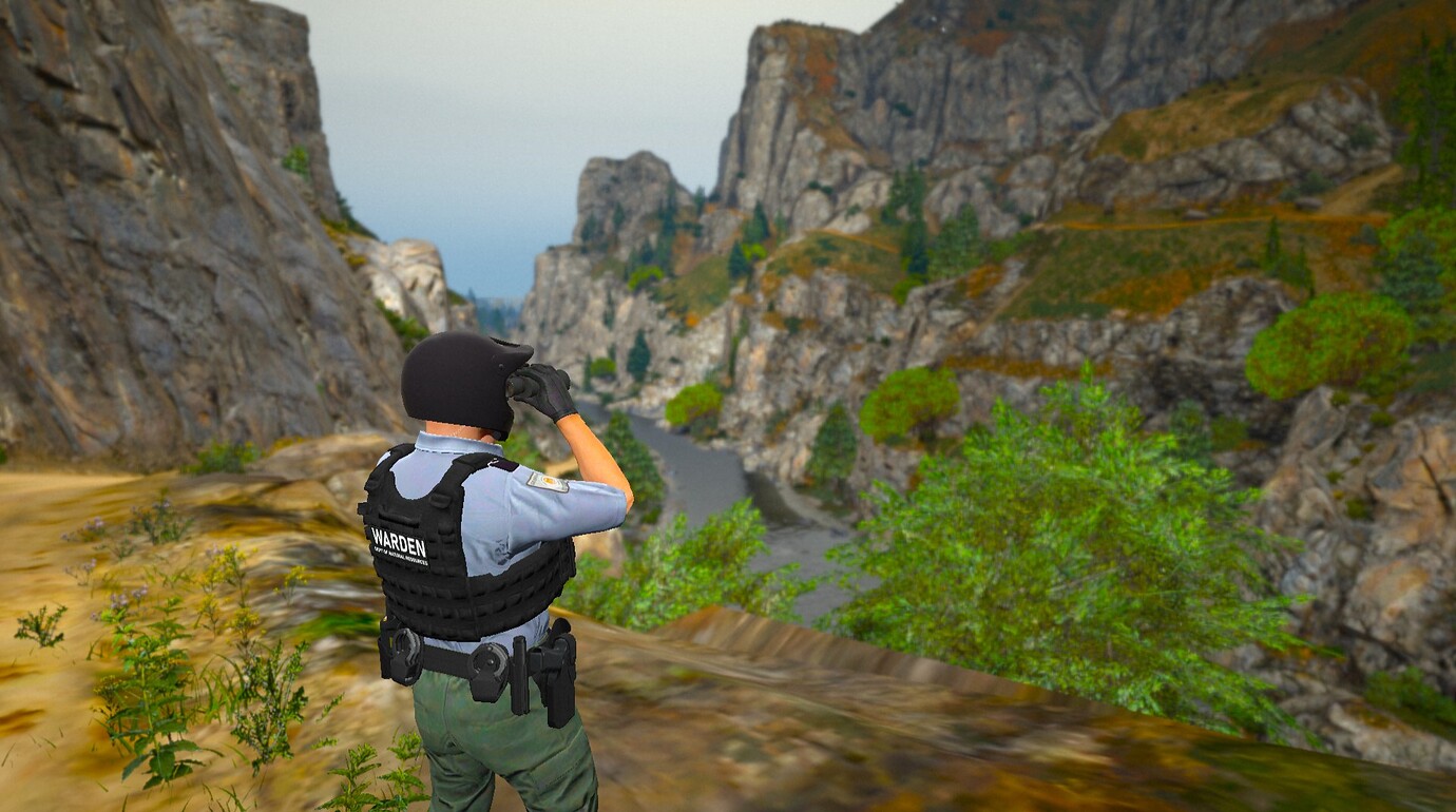 DNR Binos - FiveM Snapmatic - Cfx.re Community