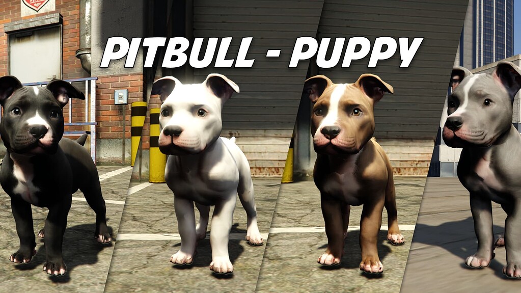 Pitbull Puppy - Addon Dog ped - FiveM Releases - Cfx.re Community
