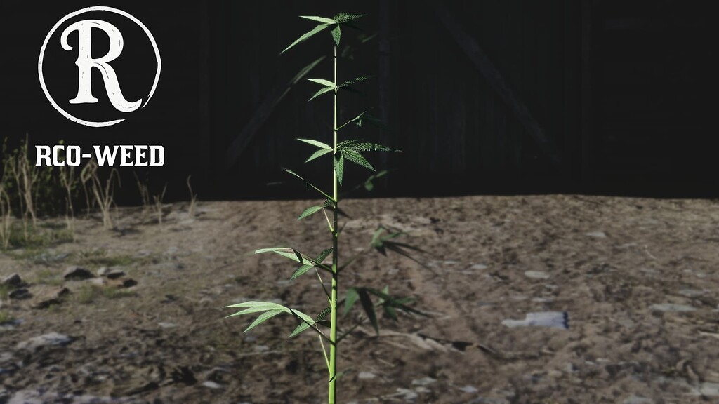 [RSG] RCO-Weed - RedM Releases - Cfx.re Community