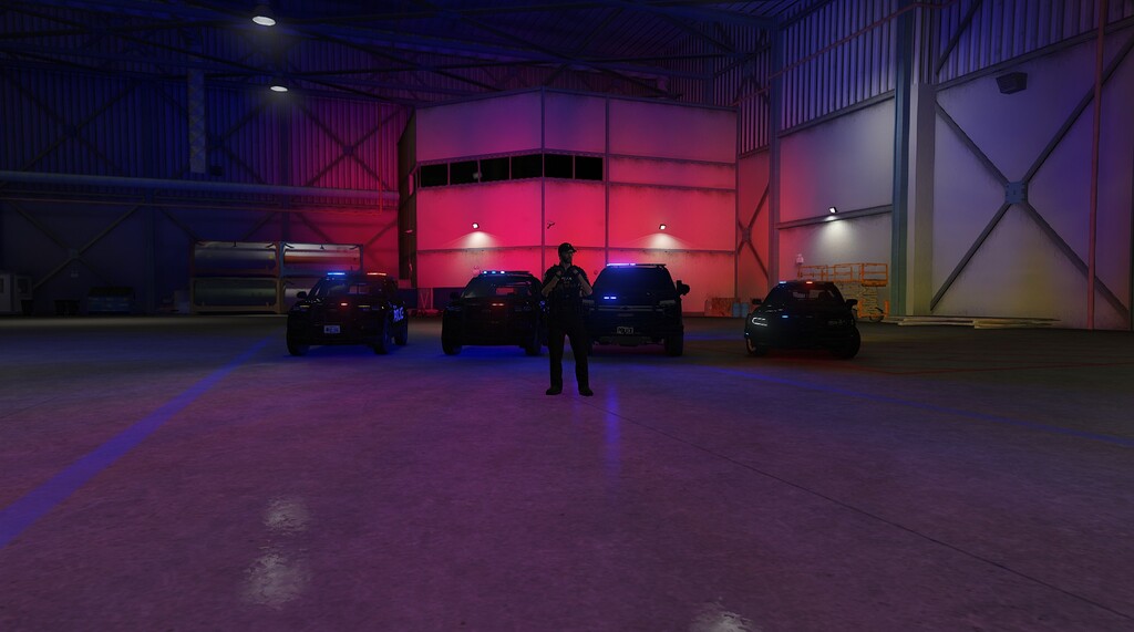 Transit PD - FiveM Snapmatic - Cfx.re Community