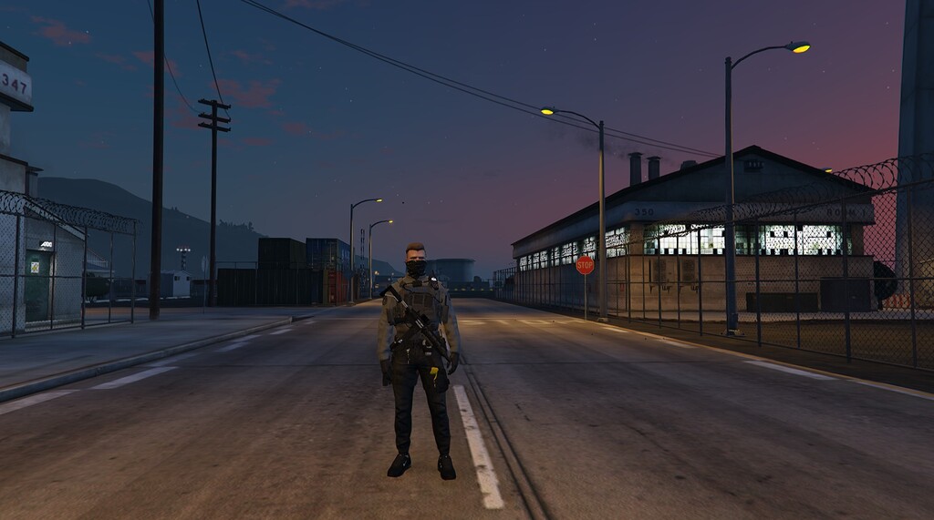 Dsi - FiveM Snapmatic - Cfx.re Community