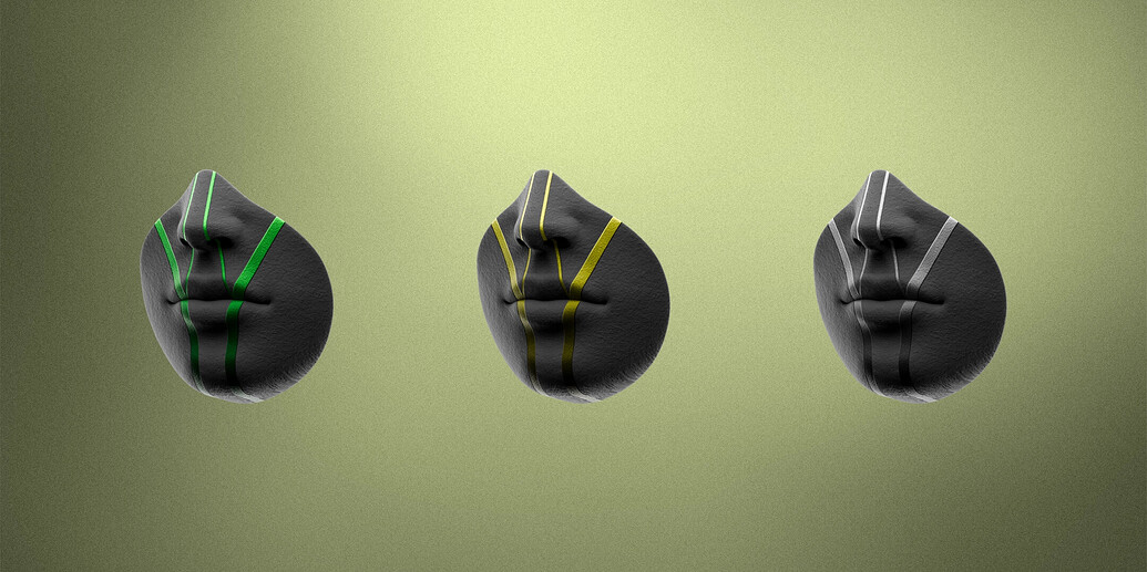 Minimalist Face Mask - FiveM Releases - Cfx.re Community