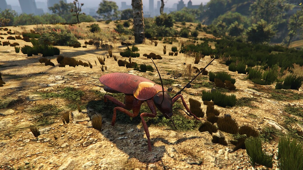 Tarantula (accurate size) - Addon Animal Ped - FiveM Releases - Cfx.re ...