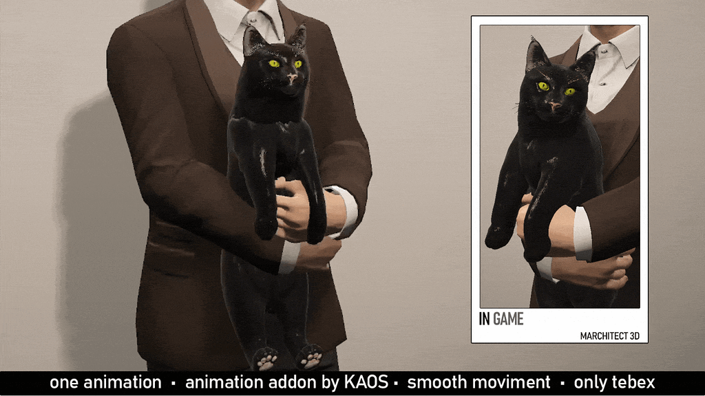 [PROP] Pet Cats | Animated Prop + Animation Add-on - FiveM Releases ...