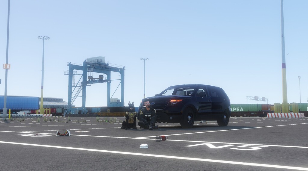 Buccaneer Way - FiveM Snapmatic - Cfx.re Community