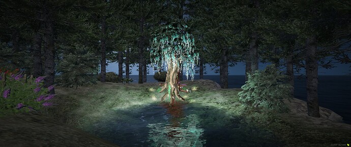 [PAID] Nymph's Map - Releases - Cfx.re Community