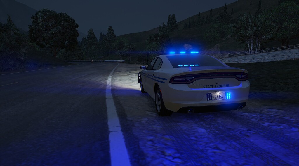 SCHP New License Plate - FiveM Snapmatic - Cfx.re Community