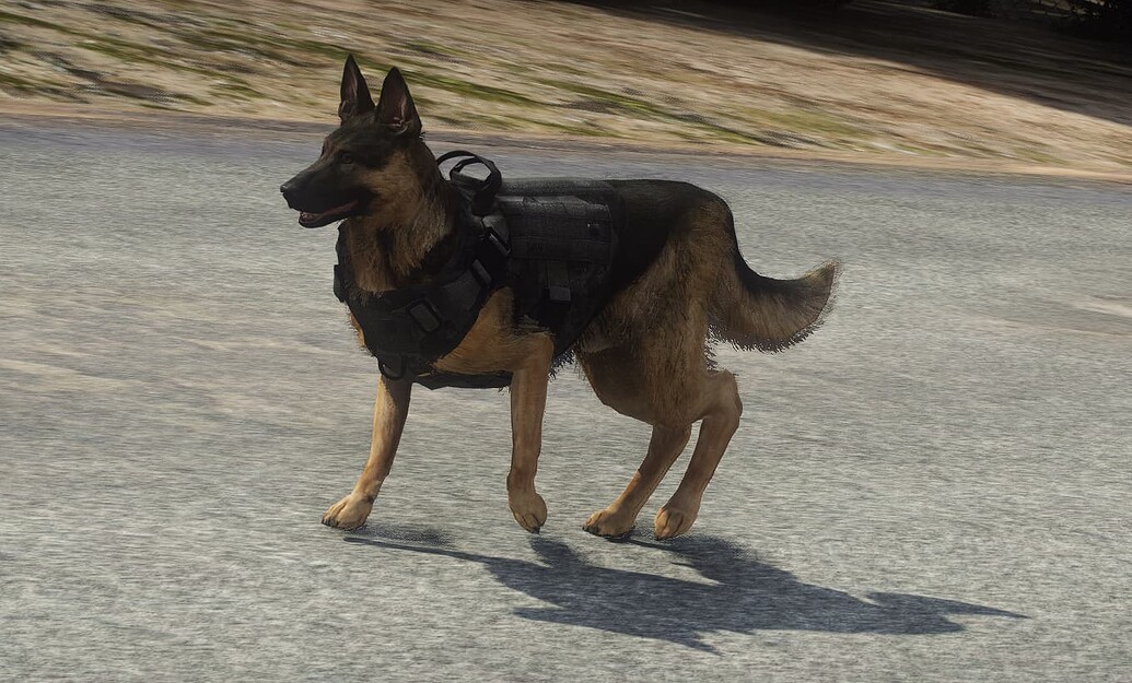 [PED] [PAID] German Shepherd K9 - FiveM Releases - Cfx.re Community