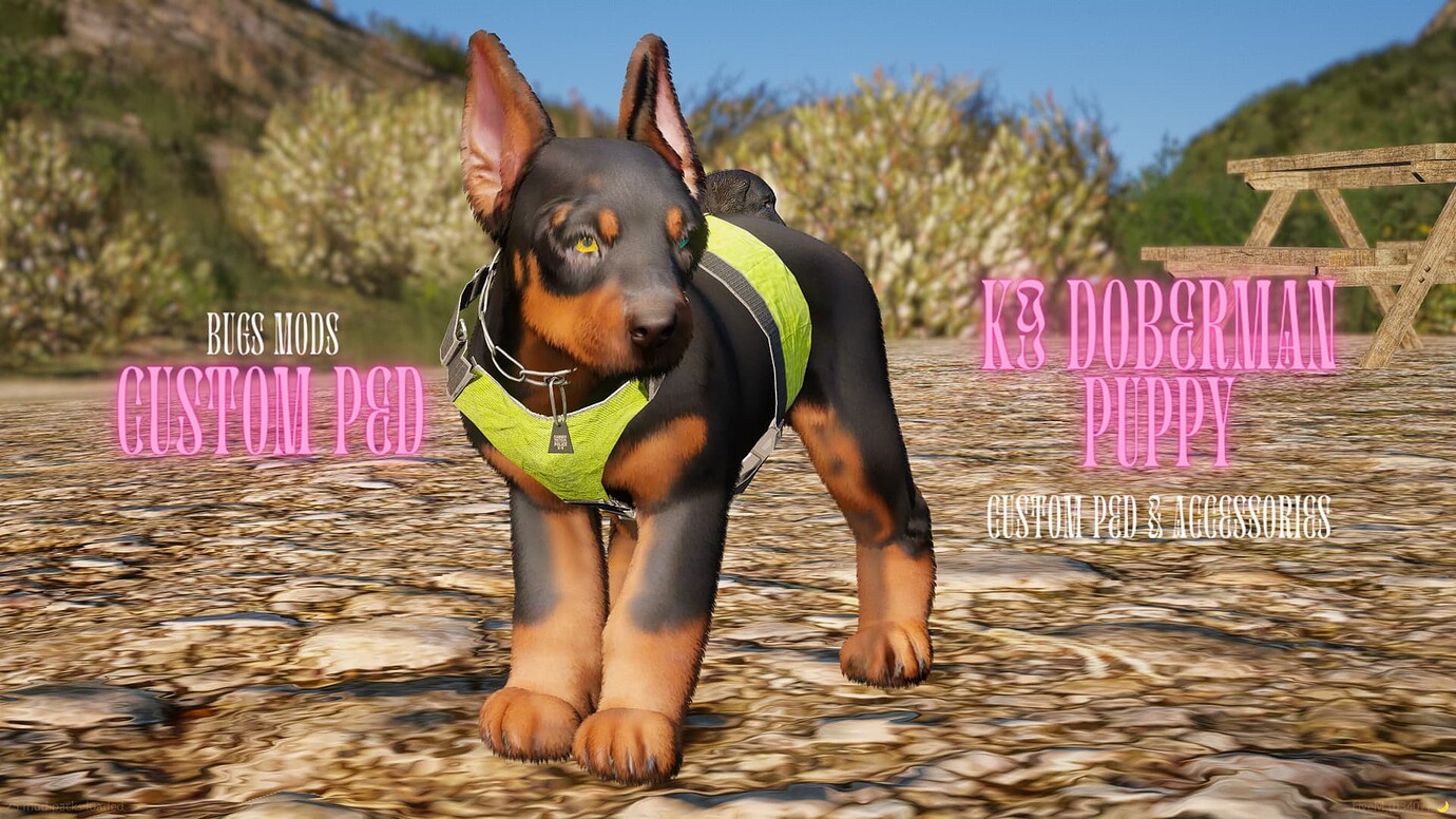 K9 Doberman Puppy Ped - FiveM Releases - Cfx.re Community