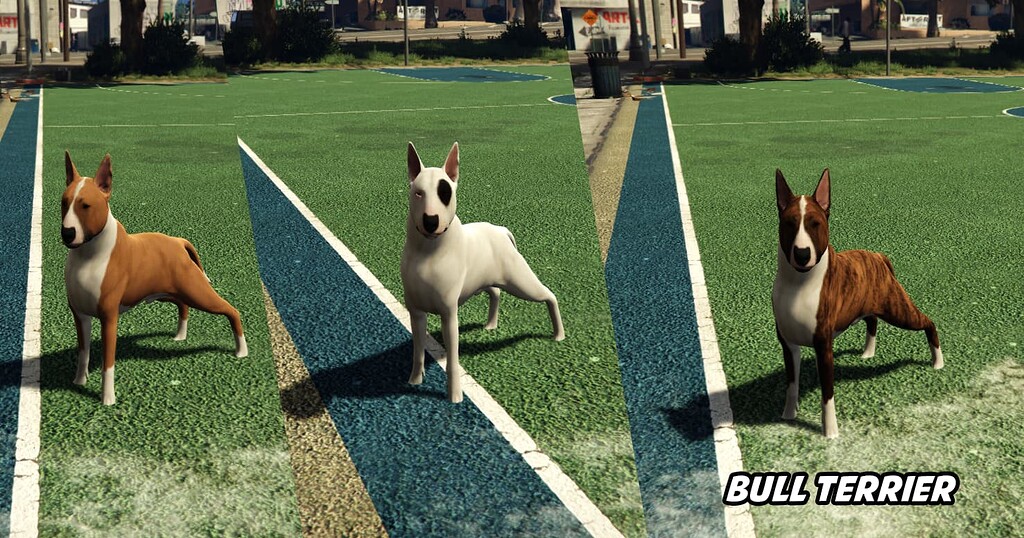 Bull Terrier - Addon Dog Ped - FiveM Releases - Cfx.re Community