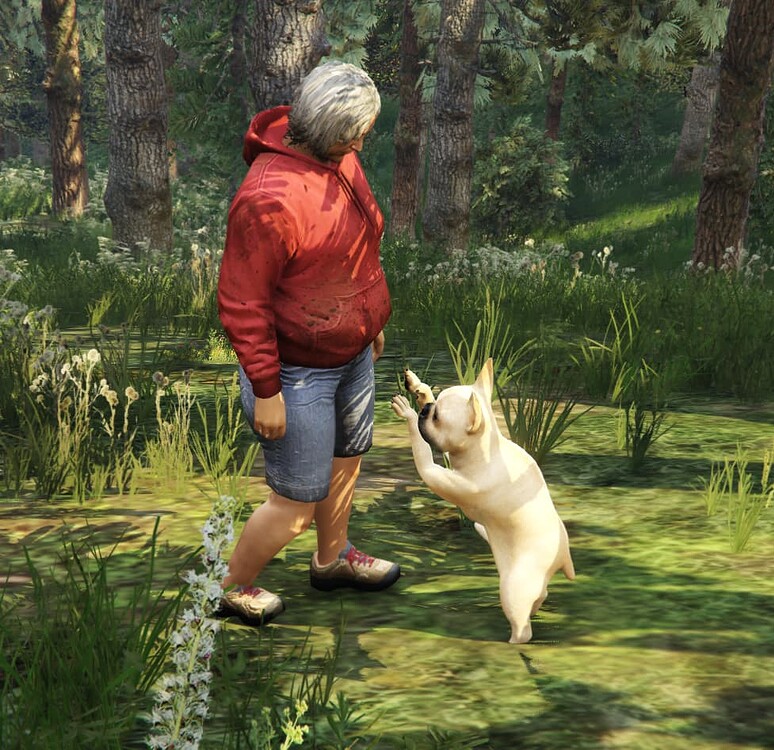 cDev Pets Subscription Pack - FiveM Releases - Cfx.re Community