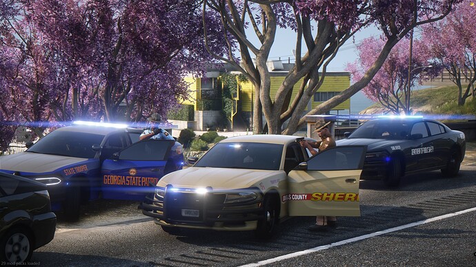 Peach State Roleplay | Whitelisted | Georgia Based | 17+ | Command Opportunities - Server Bazaar ...