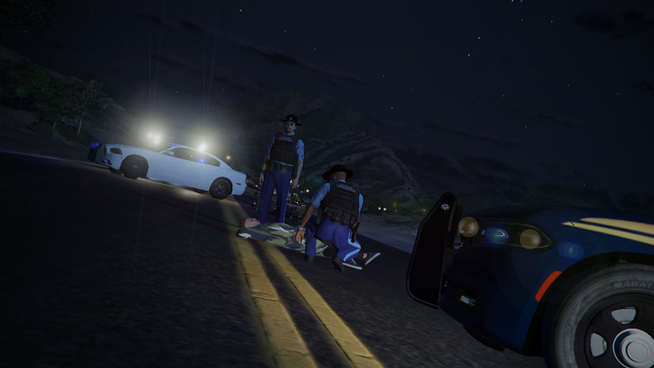 Night Shift RP | Server 1 | LFPDFR | Public CAD | Whitelisted Cops ...