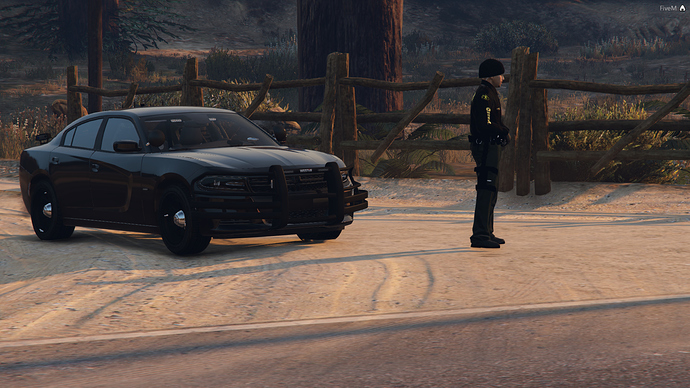 New Community: Harris county Roleplay - Server Bazaar - Cfx.re Community