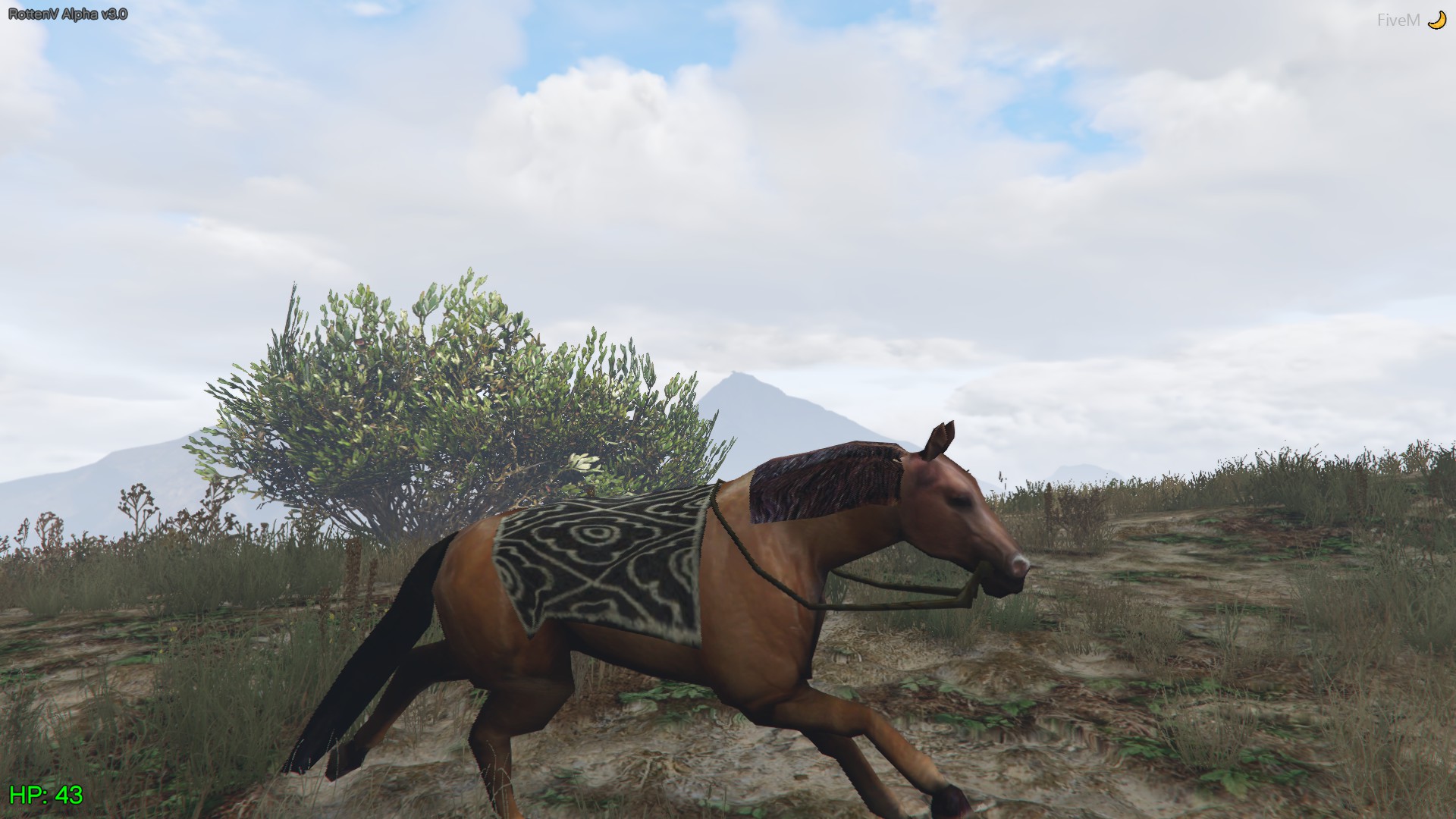 The Walking Dead Rp FiveM Server - Server Bazaar - Cfx.re Community