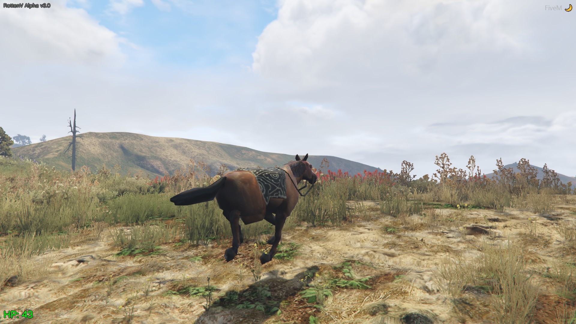 The Walking Dead Rp FiveM Server - Server Bazaar - Cfx.re Community