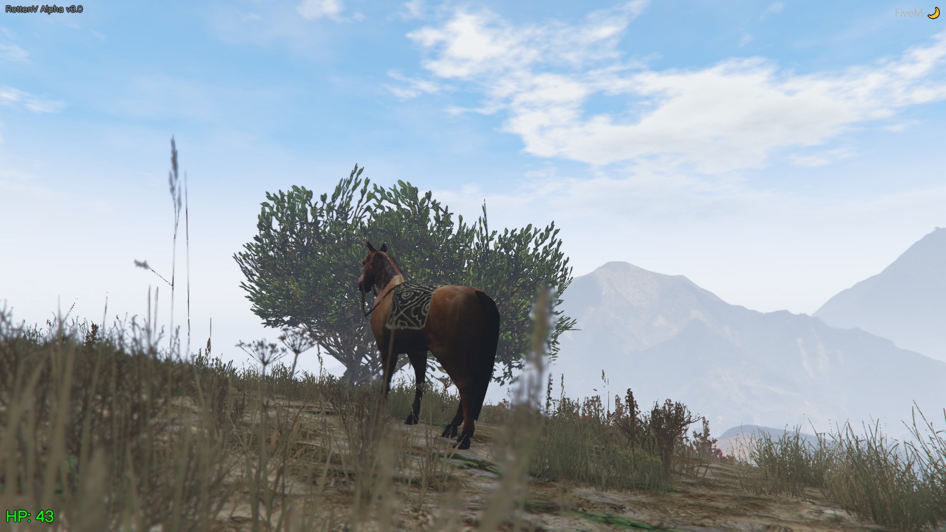 The Walking Dead Rp FiveM Server - Server Bazaar - Cfx.re Community