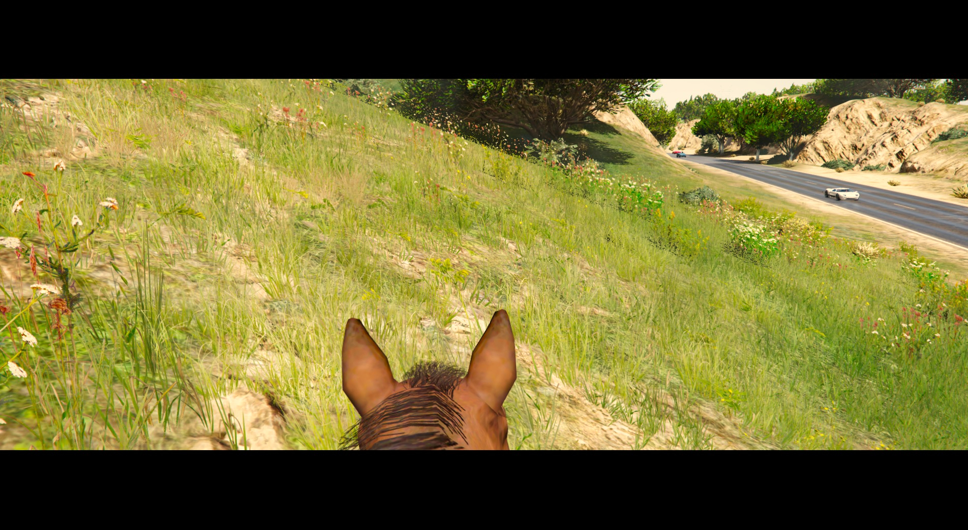 Ride Animals (Deer, Cow and Boar (and SUPPORT for external horse mod ...