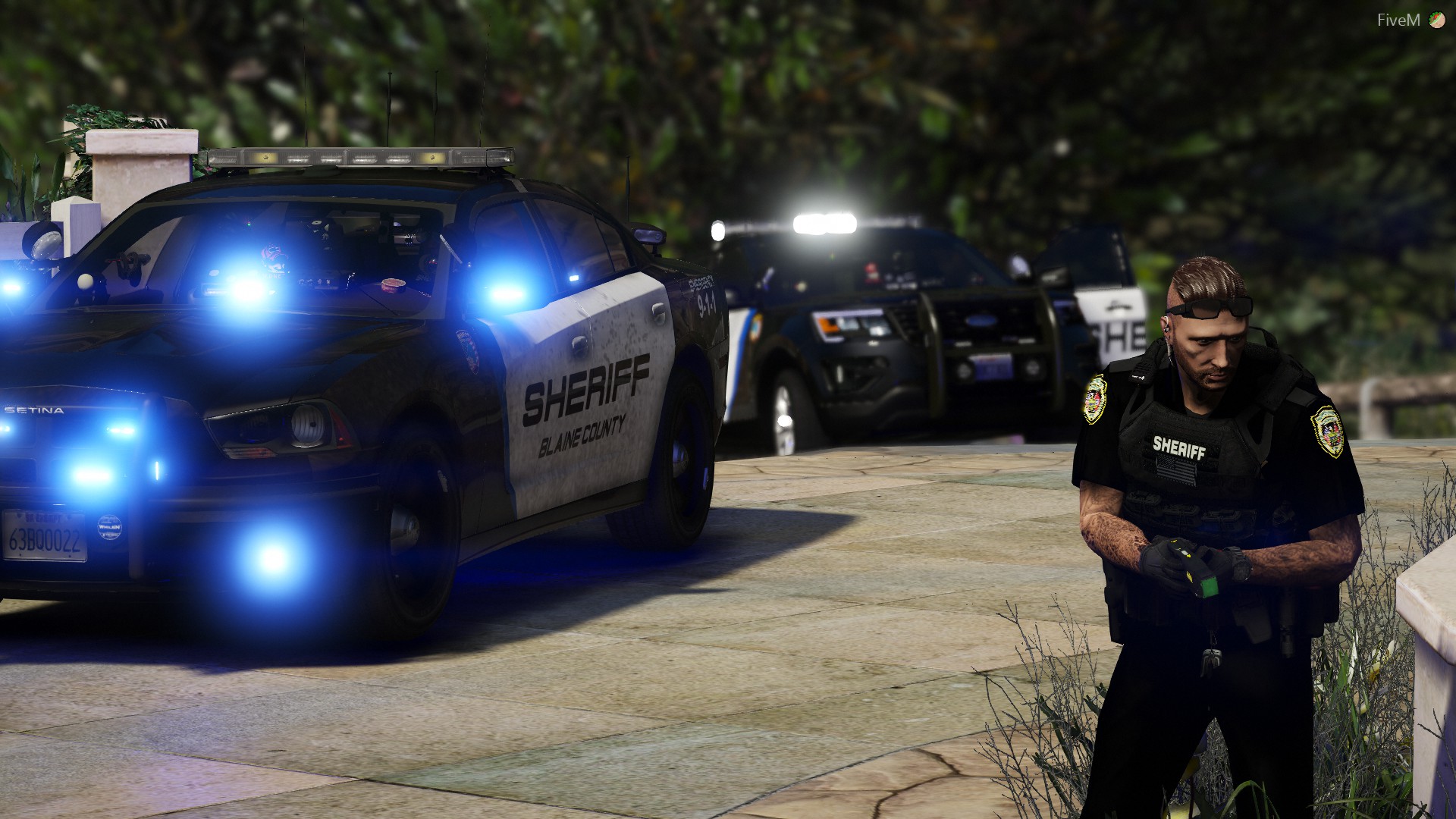 Statewide Roleplay | Whitelisted | Custom Assets | 15+ | Realism ...