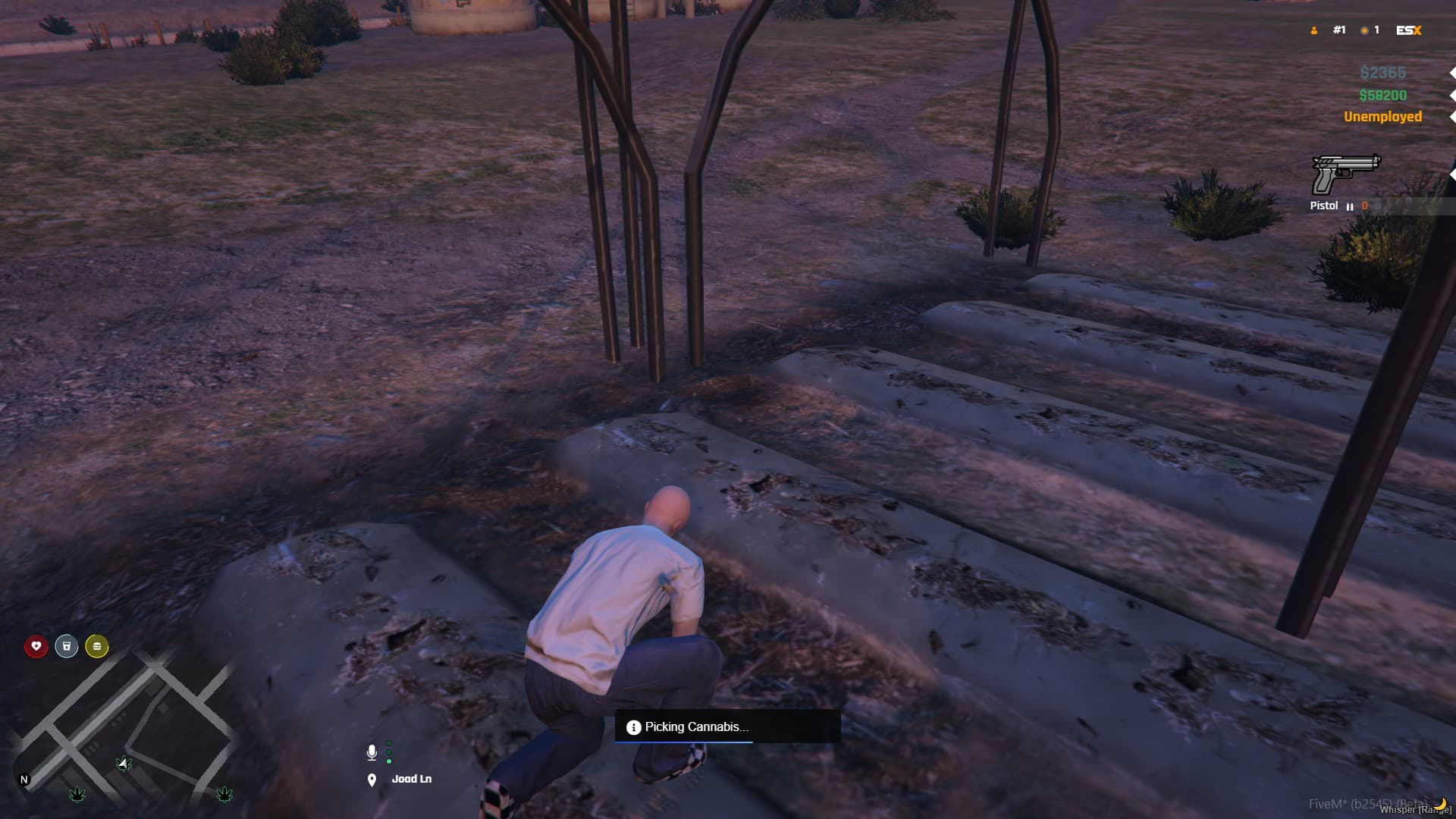 [esx] [free] tg_weed | grow, deal and prosper! - FiveM Releases - Cfx ...