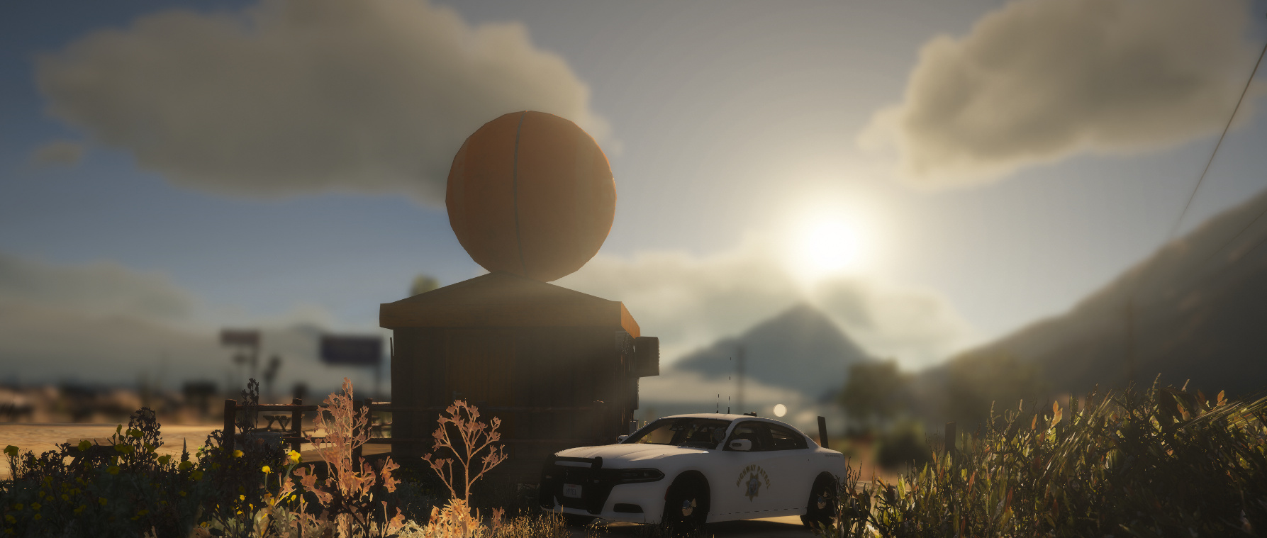 Statewide Roleplay | Whitelisted | Custom Assets | 15+ | Realism ...