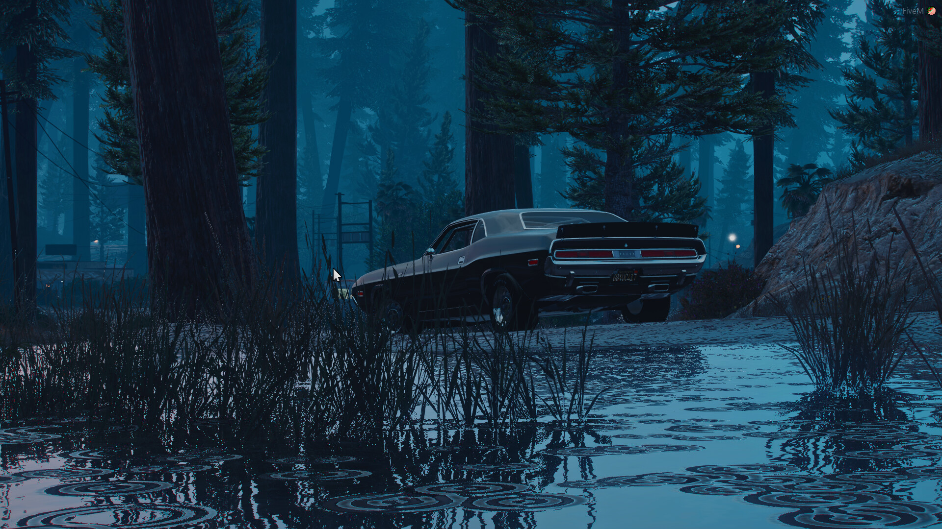 BackwoodsRP | FiveM Community - Server Bazaar - Cfx.re Community