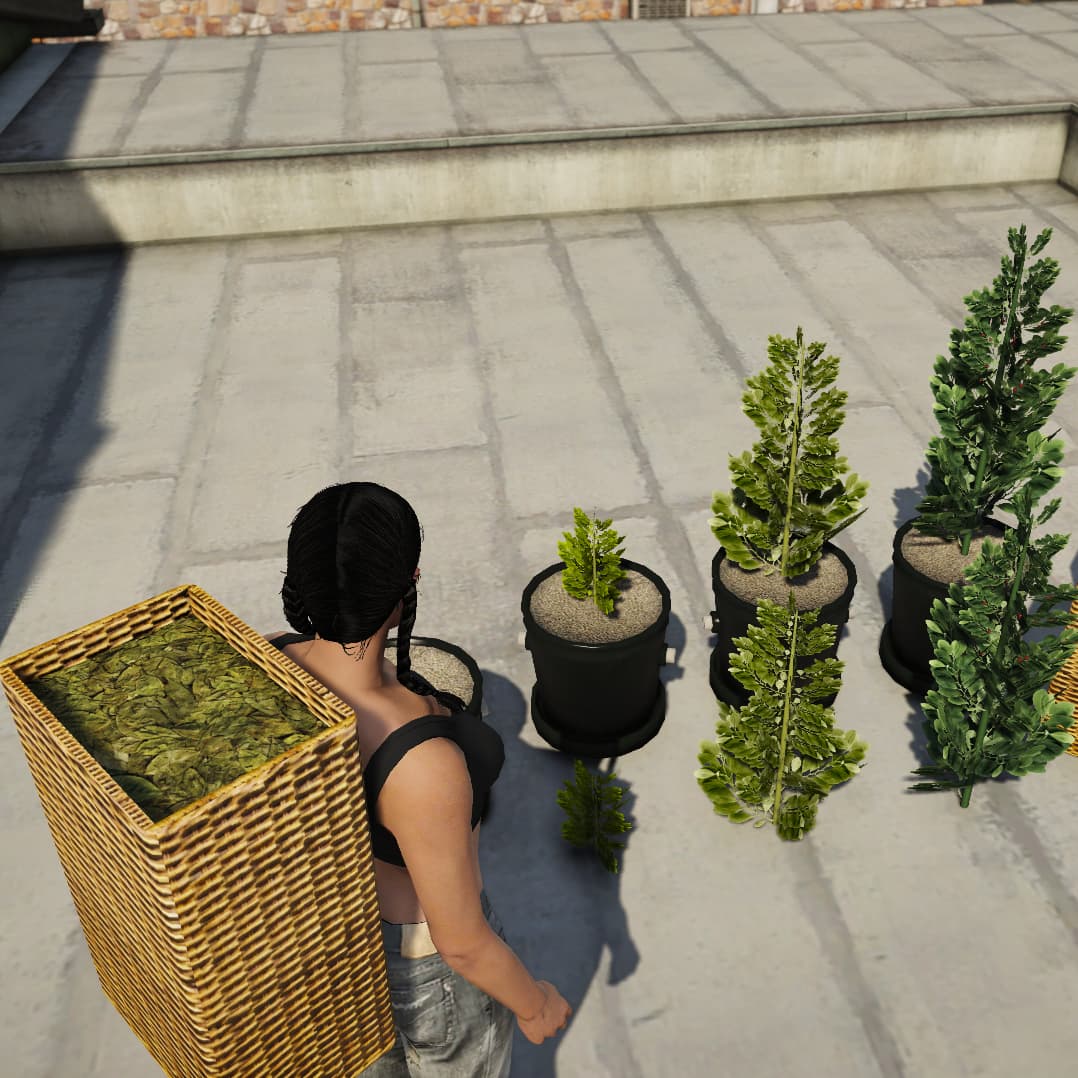 [ADDON] [PROPS] Coca plants - FiveM Releases - Cfx.re Community