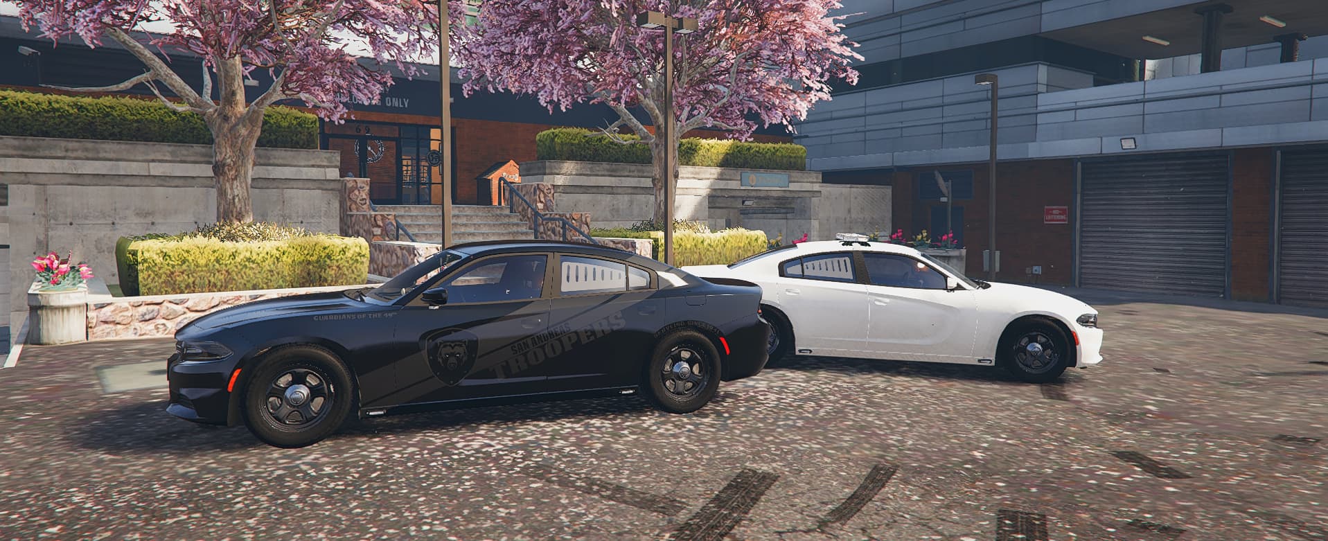 SalmonRP | 1 week and growing rapidly | Need Business Owners | Dev and ...